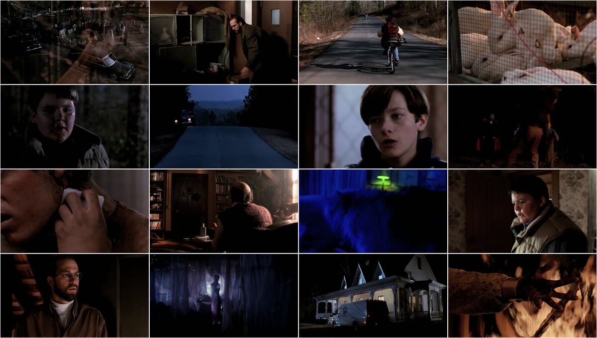 0005b-Cementerio De Mascotas 2 (1992) 720p