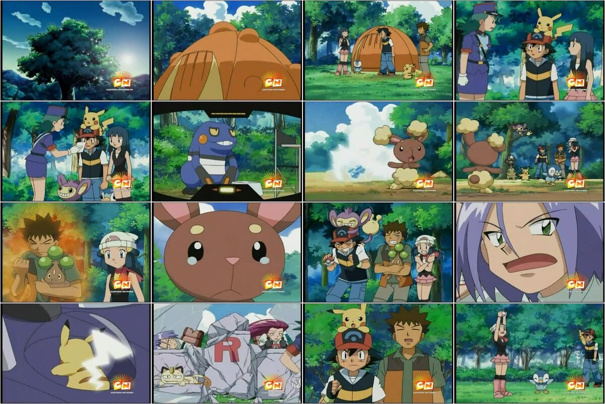 ポケットモンスター - S10E09 - ¡Ese Buneary tiene que s