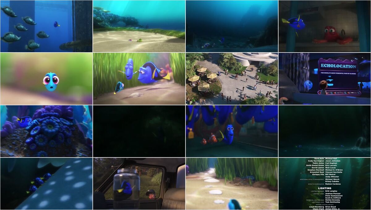 Finding Dory (2016) MULTi VF2 1080p BluRay x264-PopHD