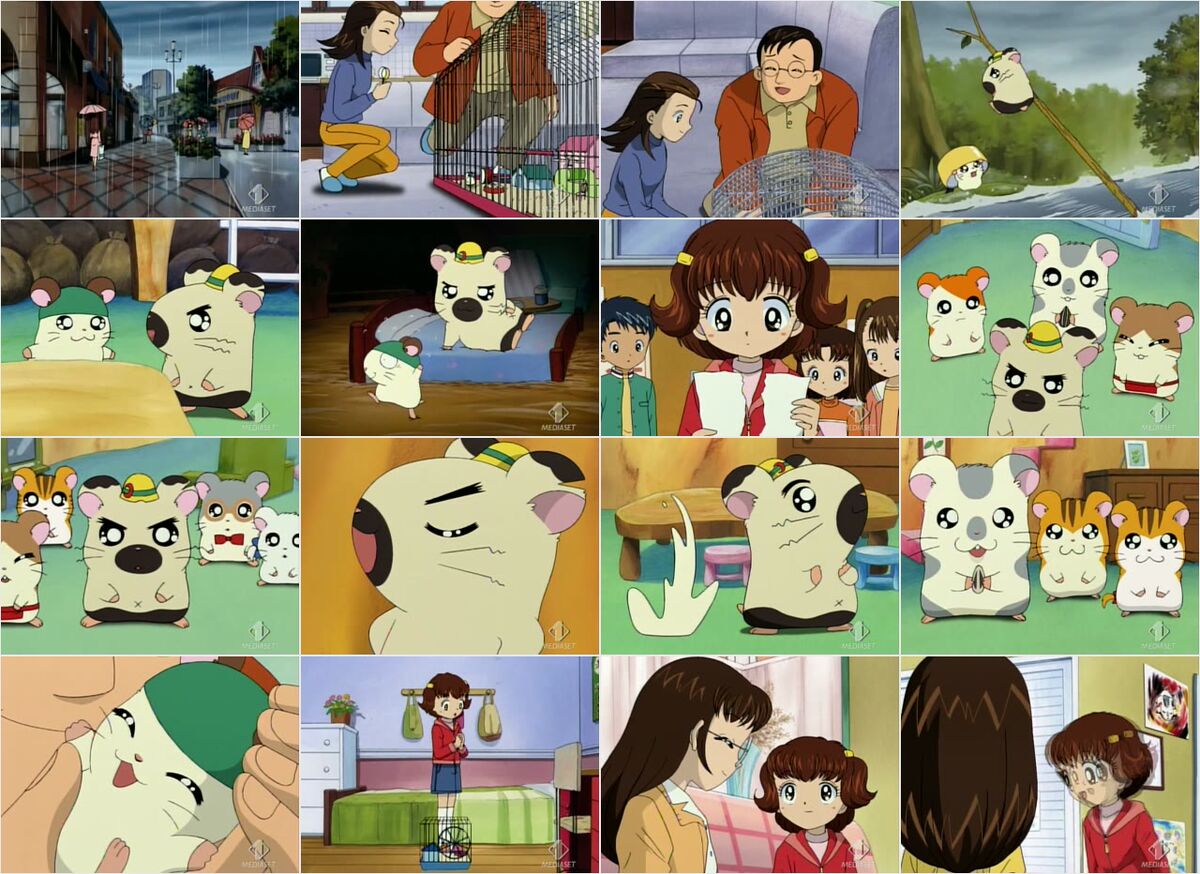Hamtaro - 021 - Coraggio, Caplin