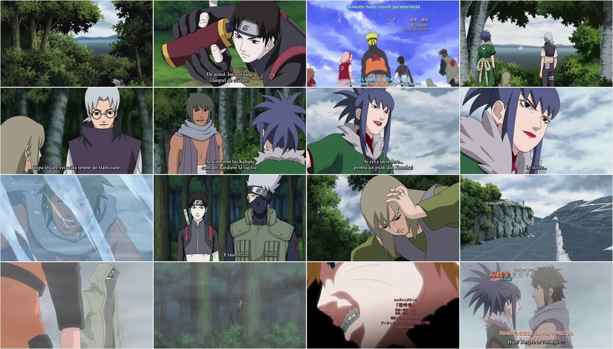 [Shinobi] Naruto Shippuden - 105 [480p][D439E498]