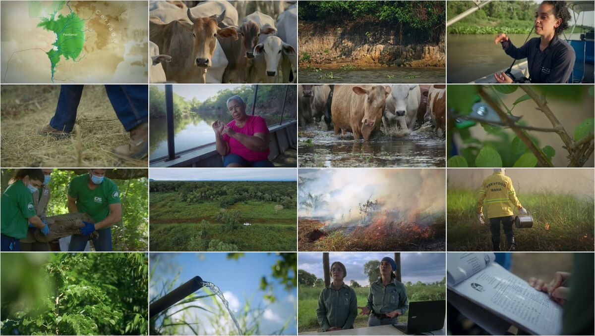 Królestwo mokradeł- odc  2 – Park Narodowy Pantanal - progra