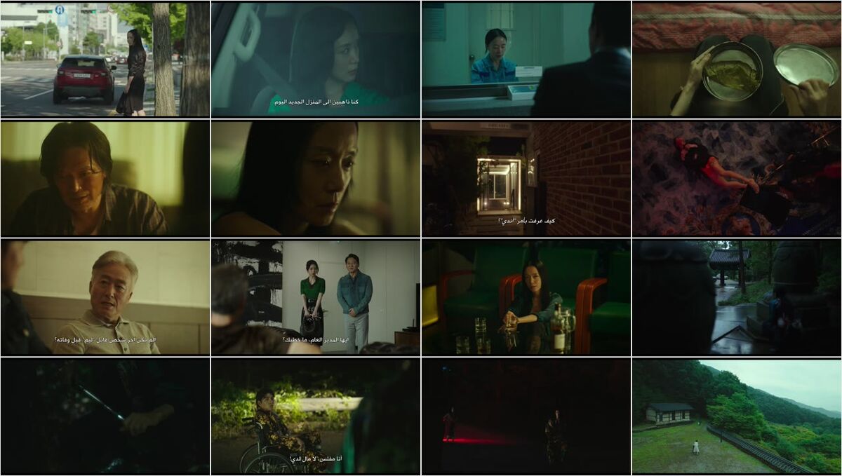 Revolver [480p]