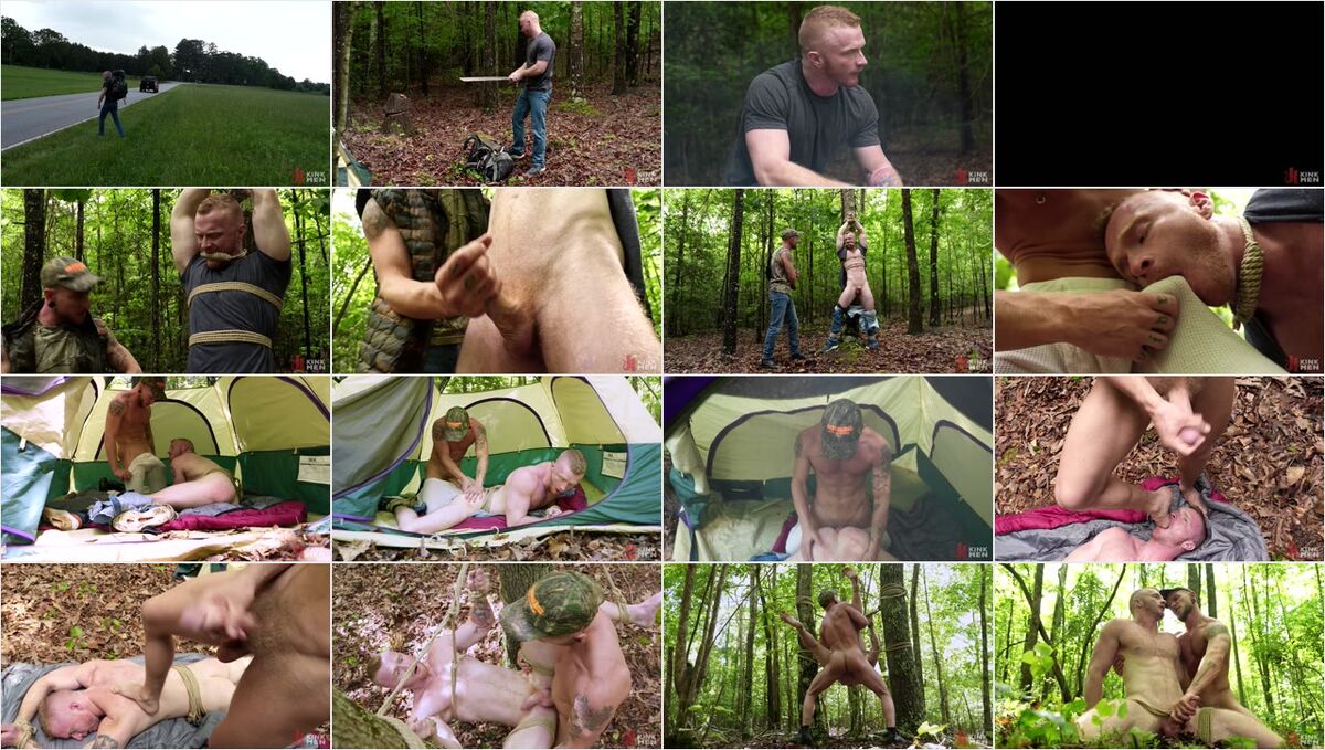 The Adventure of Brody Fox Part 3 â Victims and Predators â 