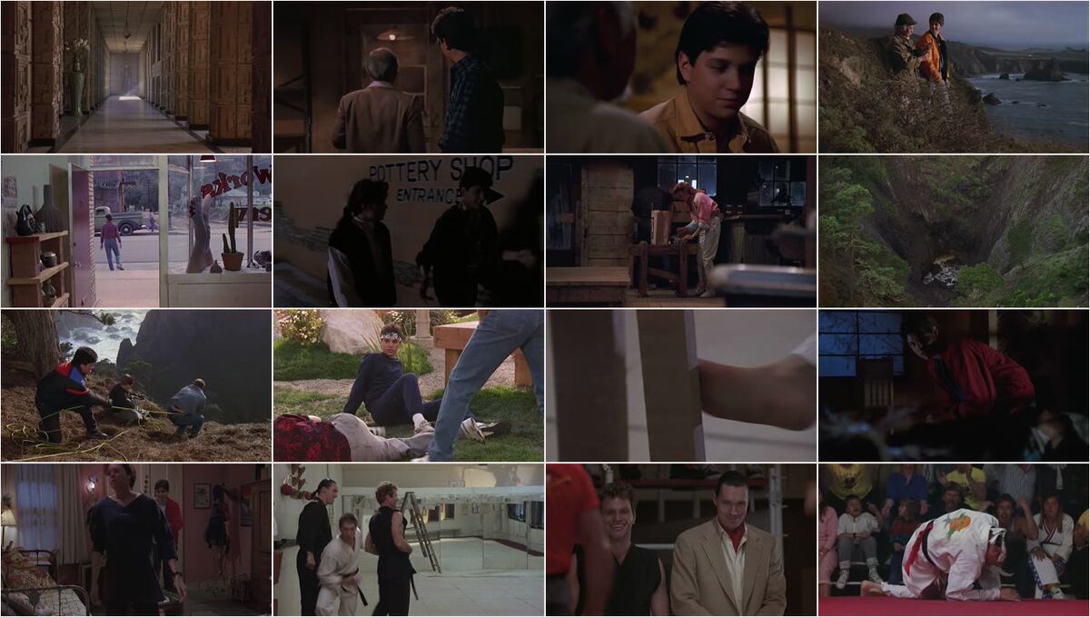 www 1TamilBlasters cool - The Karate Kid Part III (1989) English