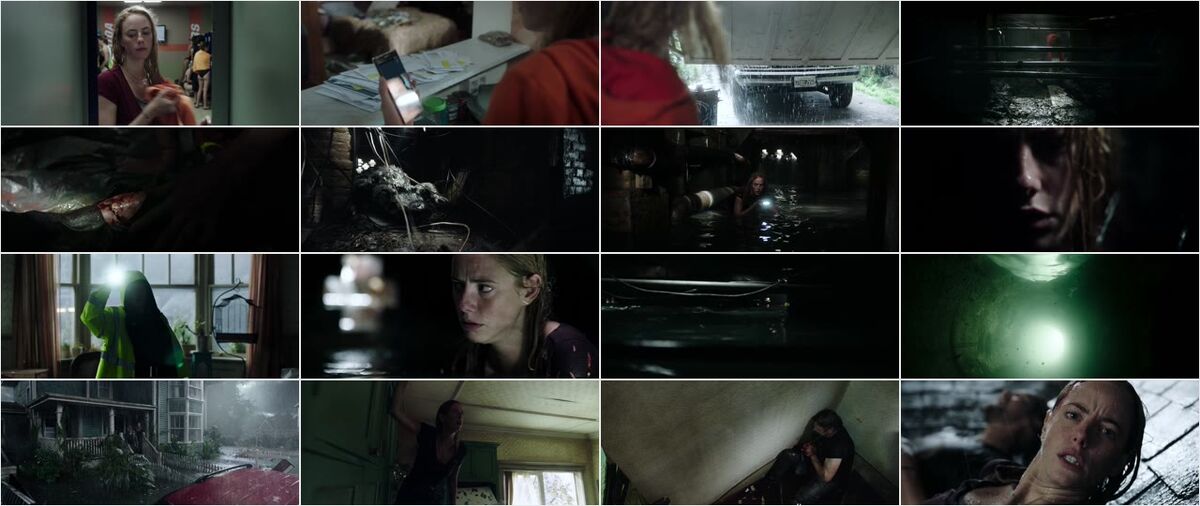 Predadores Assassinos 2019 720p BluRay DUBLADO-WWW BLUDV TV