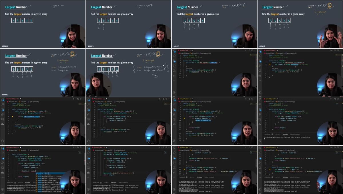 07  Largest in array