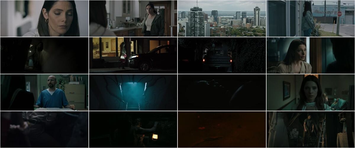 It Feeds 2025 720p WEBRip AAC-LAMA