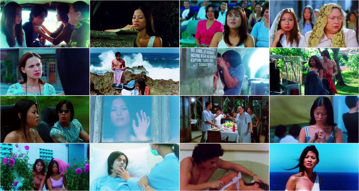 Lupe A Seamans Wife 2003 720p HEVC WeB-DL Tagalog x265 ESub-Skym
