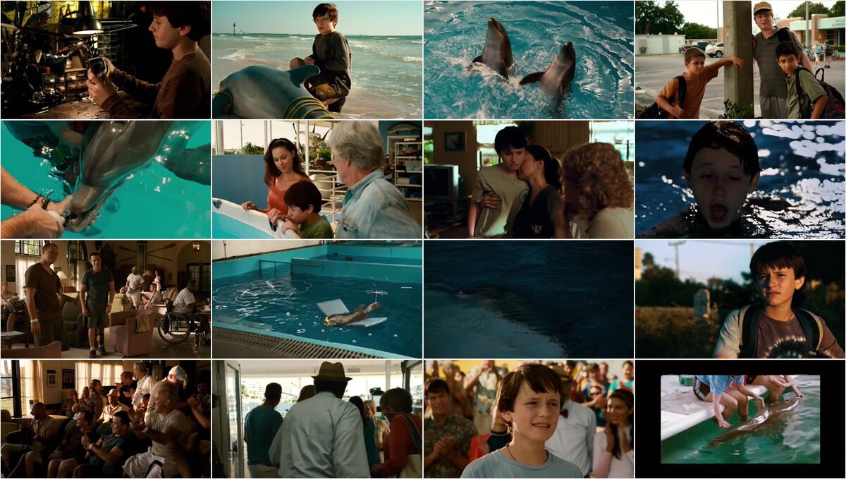 L'incroyable Histoire De Winter Le Dauphin (2011) (Dolphin Tale)