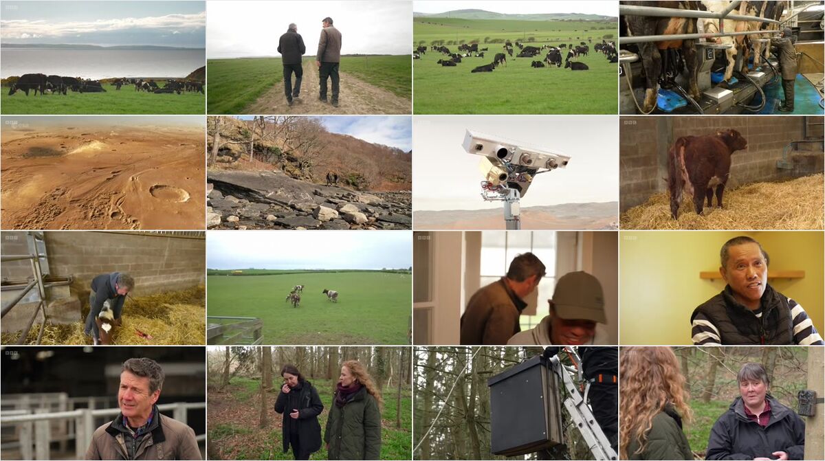 Landward S20E06 WEB-DL H264-7VFr33104D