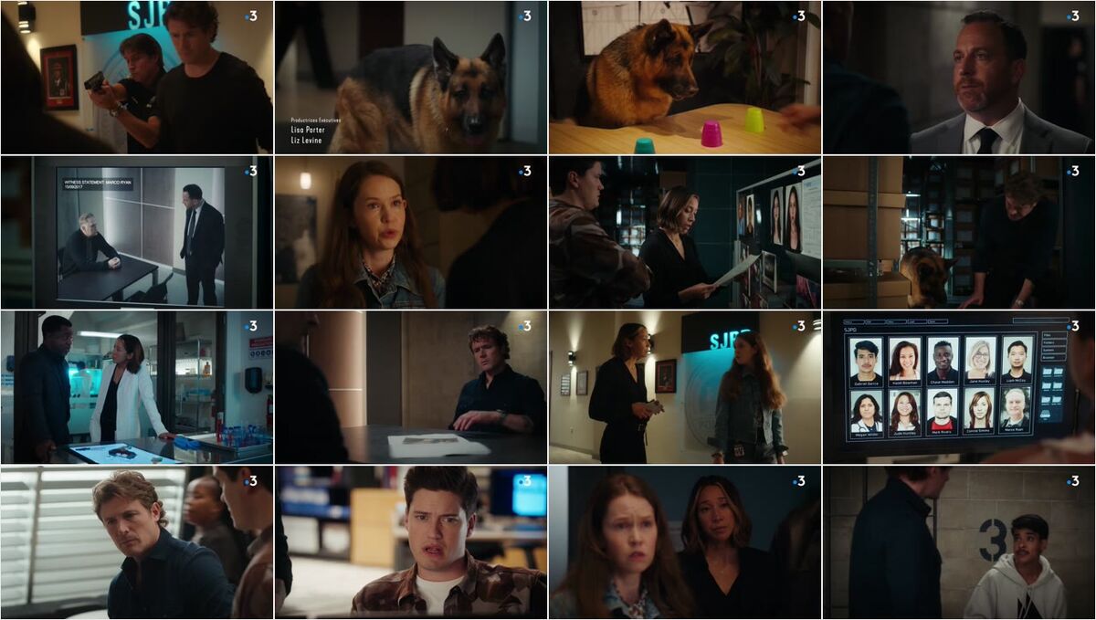 Solo Leveling Série Hudson And Rex saison 6 épisode 12 VF - VF
