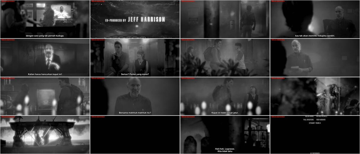 The Waves Of Madness 2024-H