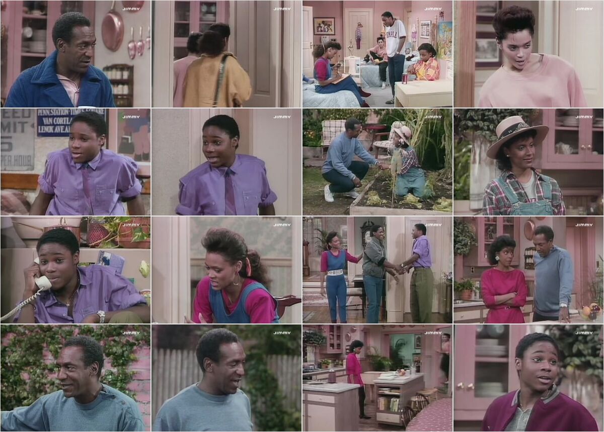 I Robinson - 2x05 - Troppo crudo per una cotta