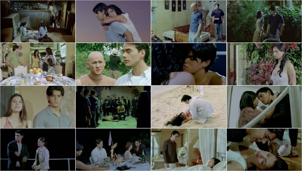 The Promise (2007) Digitally Restored 1080p RESTORED-Pinoymoviep