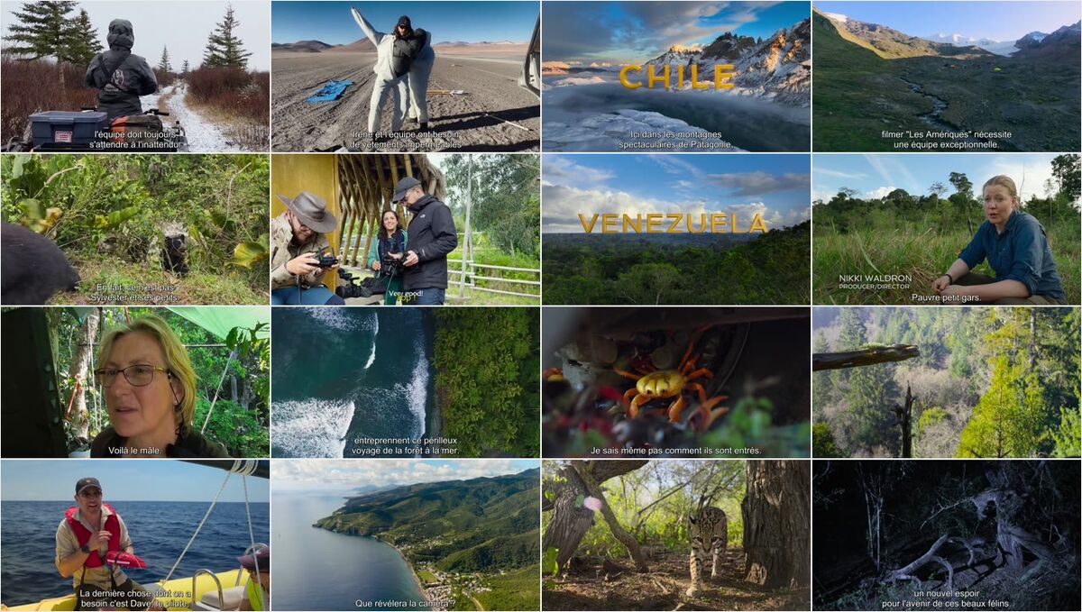 The Americas - Saison 1 Épisode 11