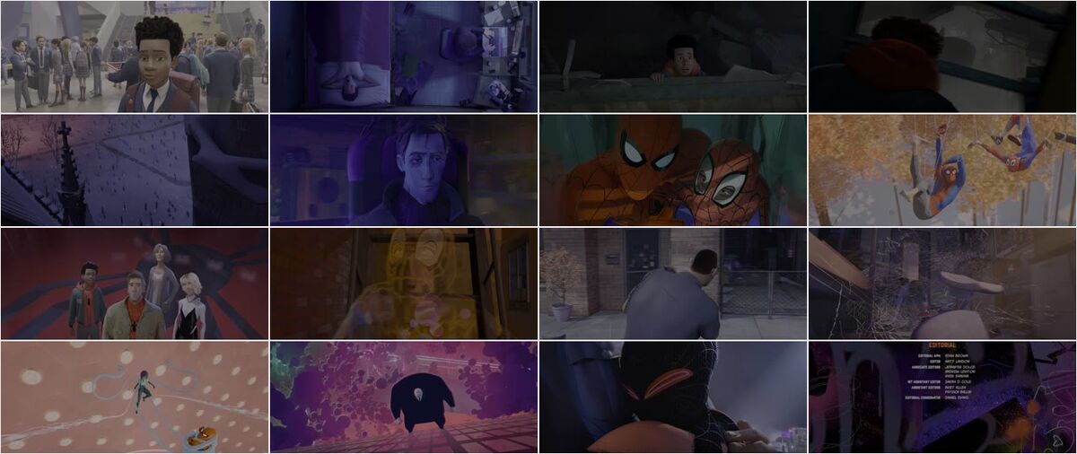 Spider-Man A New Universe 2018 German DTSHD DL 2160p UHD BluRay 