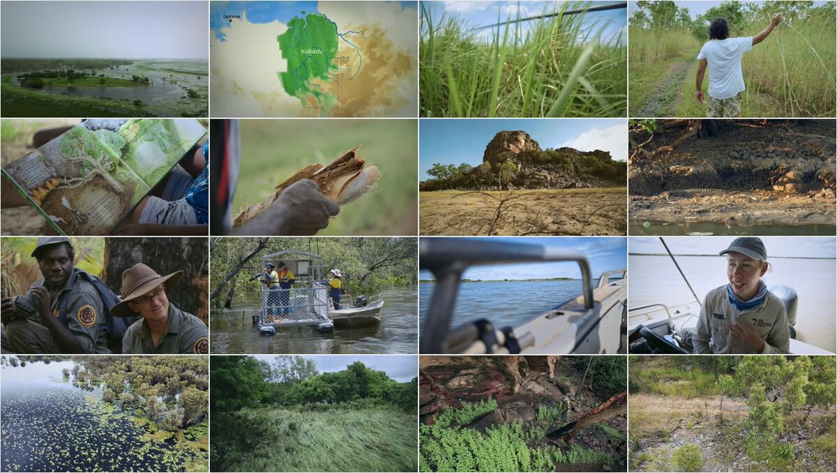 Królestwo mokradeł- odc  1 – Park Narodowy Kakadu - programy