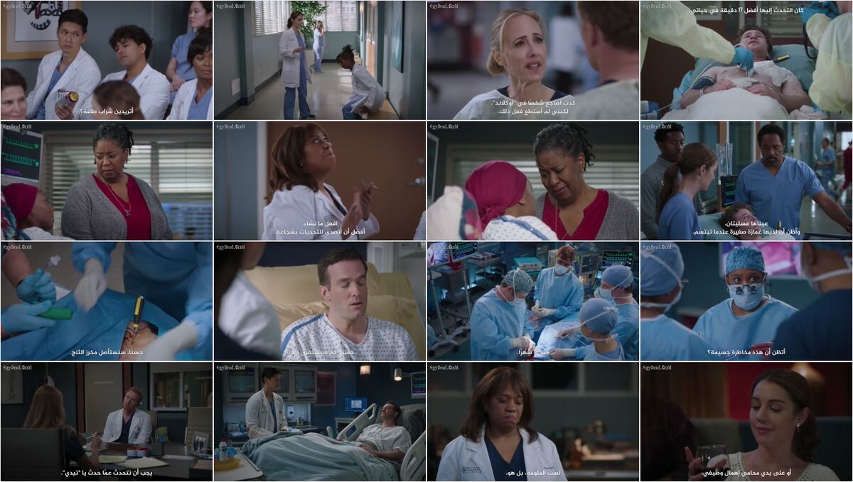 Greys Anatomy S21E14 EgyDead CoM
