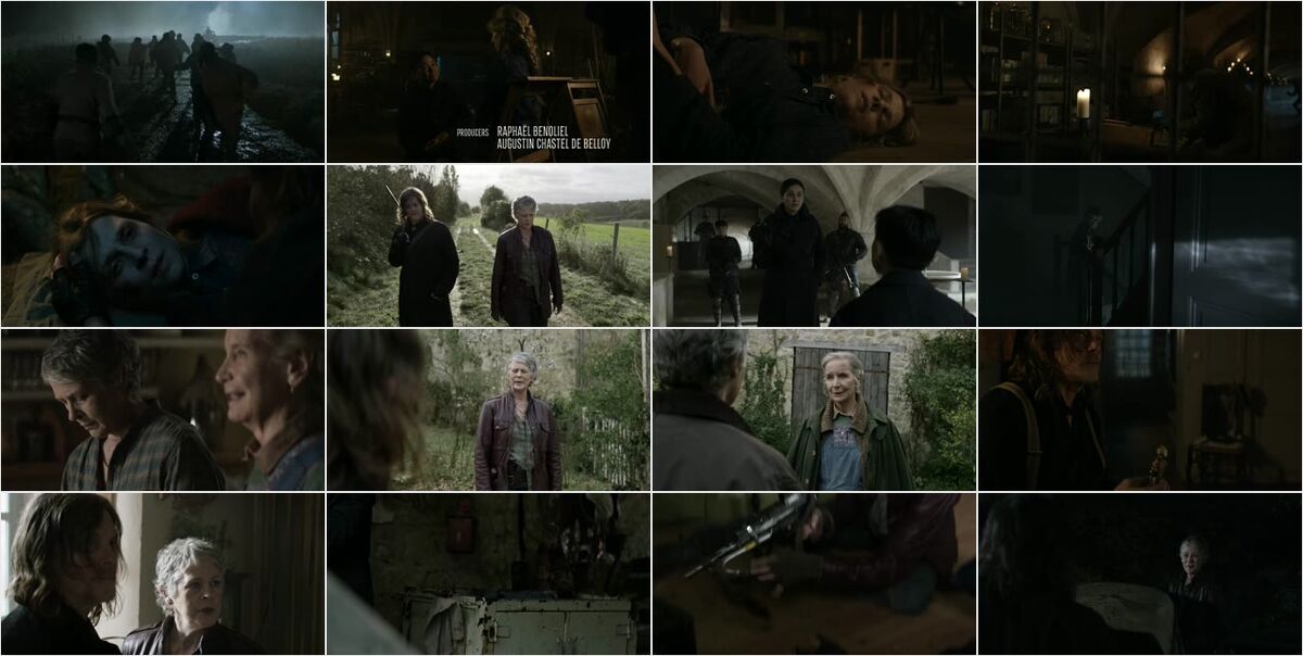 Daryl Dixon 2x4 PlayflixHD