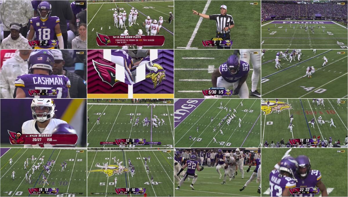 Arizona Cardinals at Minnesota Vikings 01 12 2024 low