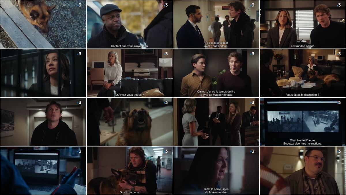 Série Hudson And Rex saison 6 épisode 15 VOSTFR