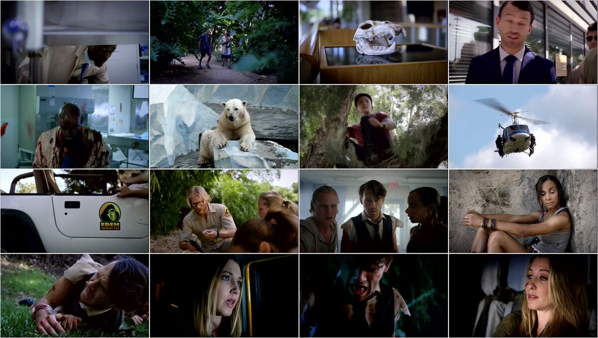 ZoombiesVideo File 1