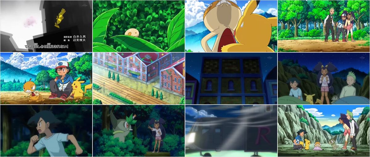 ポケットモンスター - S14E17 - ¡Scraggy, nacido para se