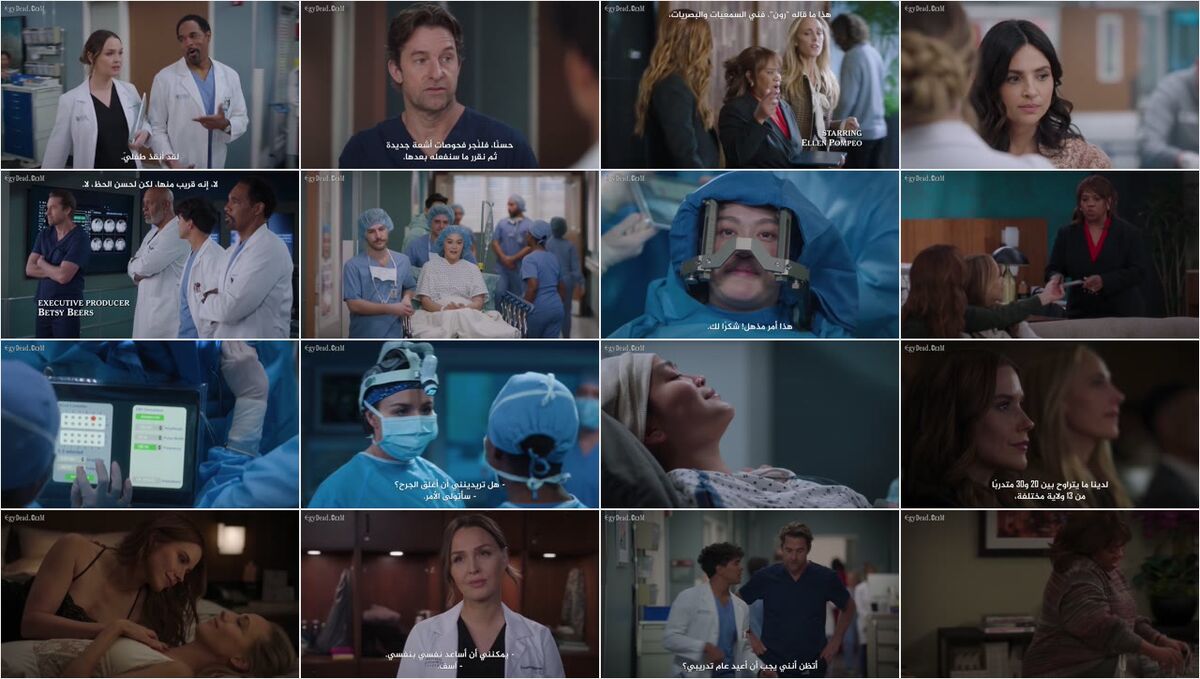 Greys Anatomy S21E13 EgyDead CoM