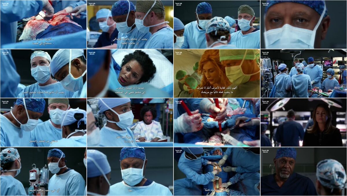 Greys Anatomy S13E08 CiNEMATY [source]
