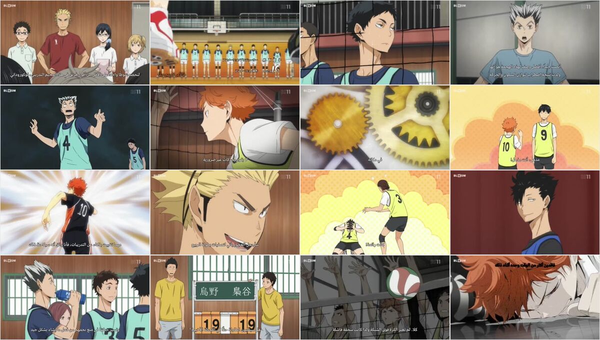 [ZIMABADK] Haikyuu!!S2-EP10 [360p]