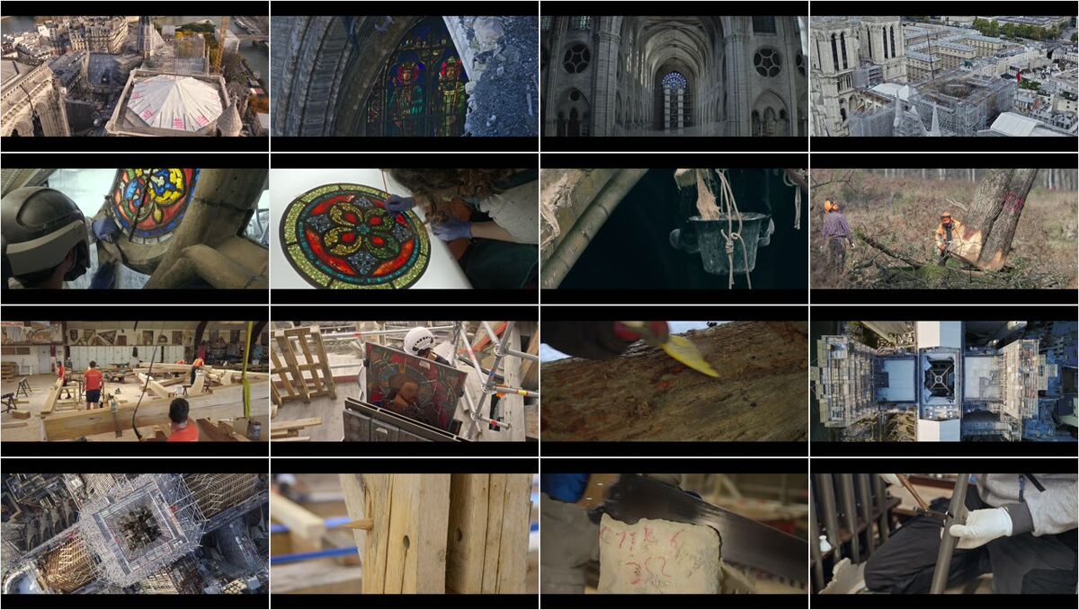 Odrodzenie Katedry Notre-Dame - filmy dokumentalne, Oglądaj na 