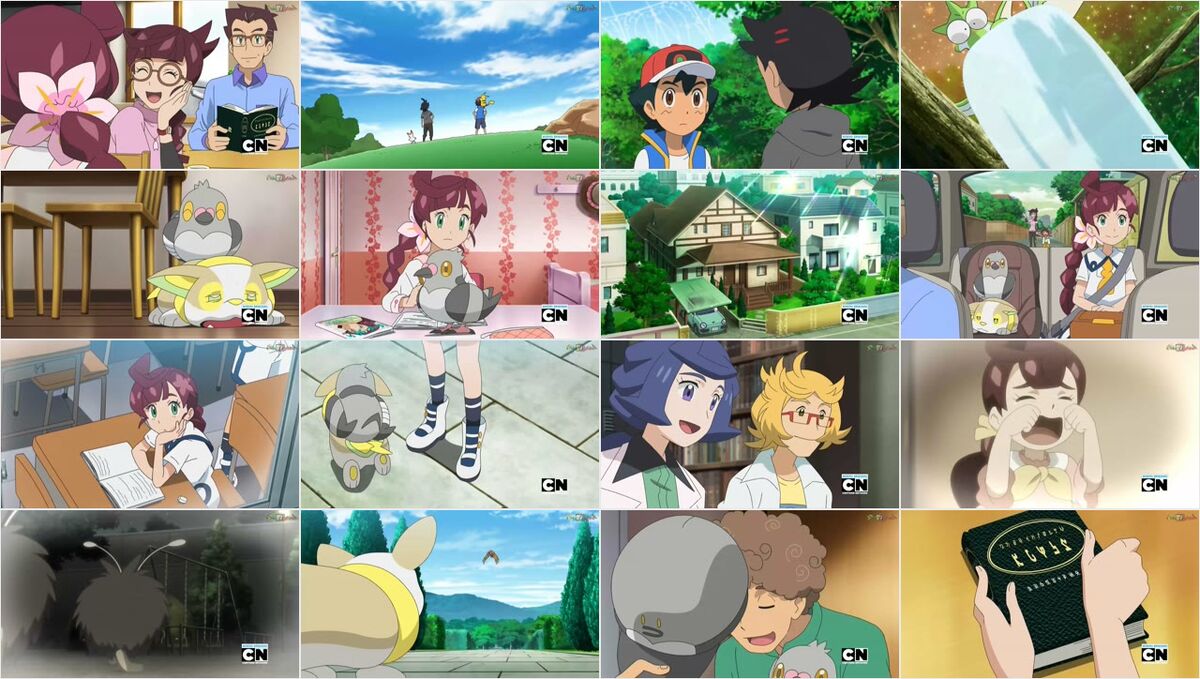 ポケットモンスター - S23E29 - ¡Nuevo compañero en la 