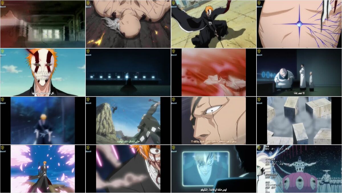 295 [480p]
