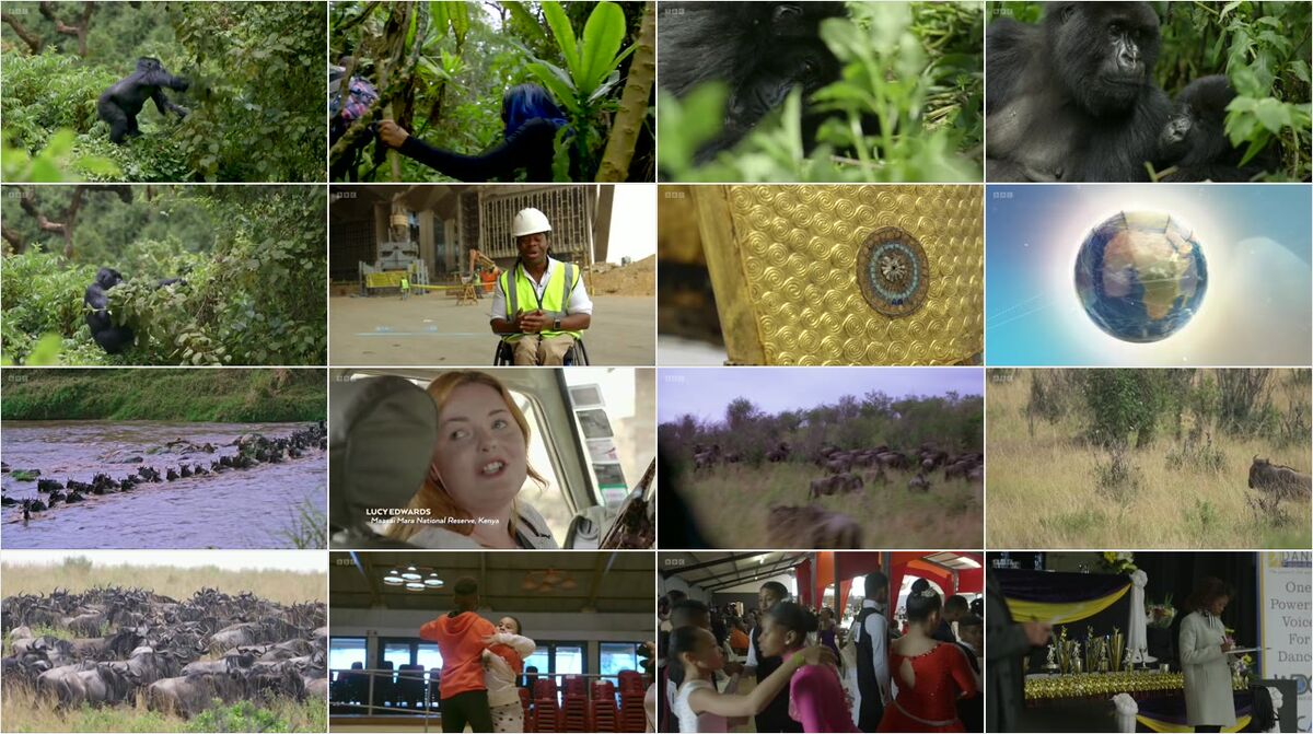 The Travel Show S2025E09-African Adventures IP WEB-DL AAC2 0 HFR