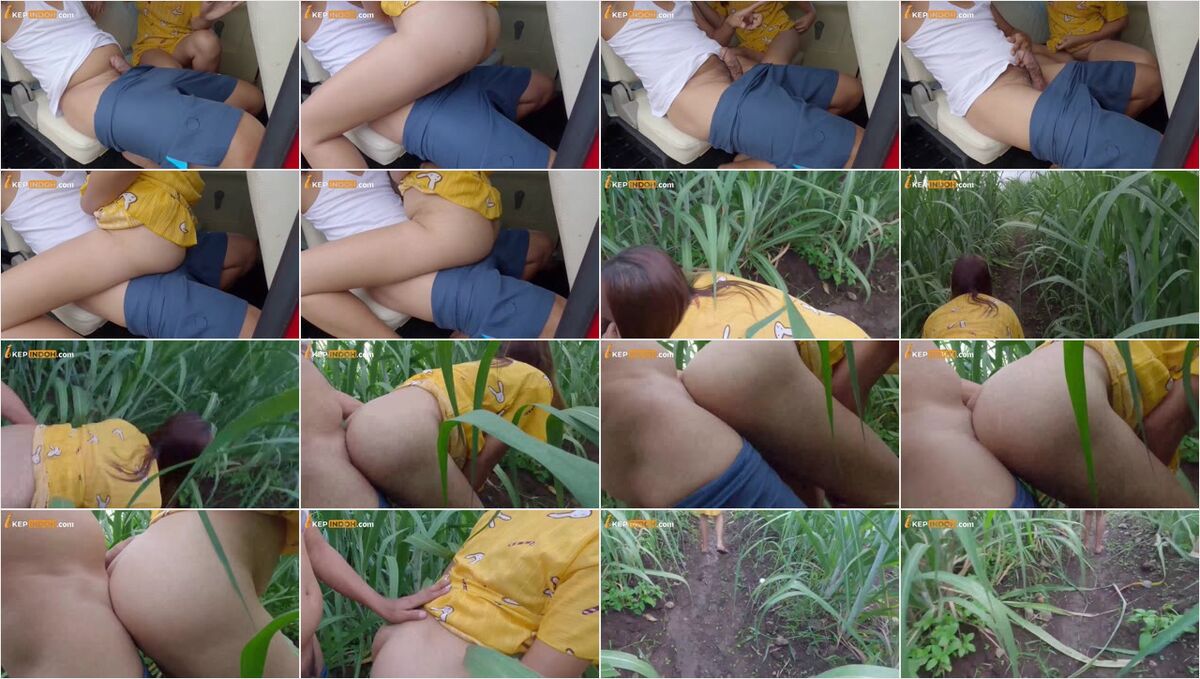 Bokep Indo - Nyobain Sensasi Ngewe Di Kebun Tebu Bareng Selingku