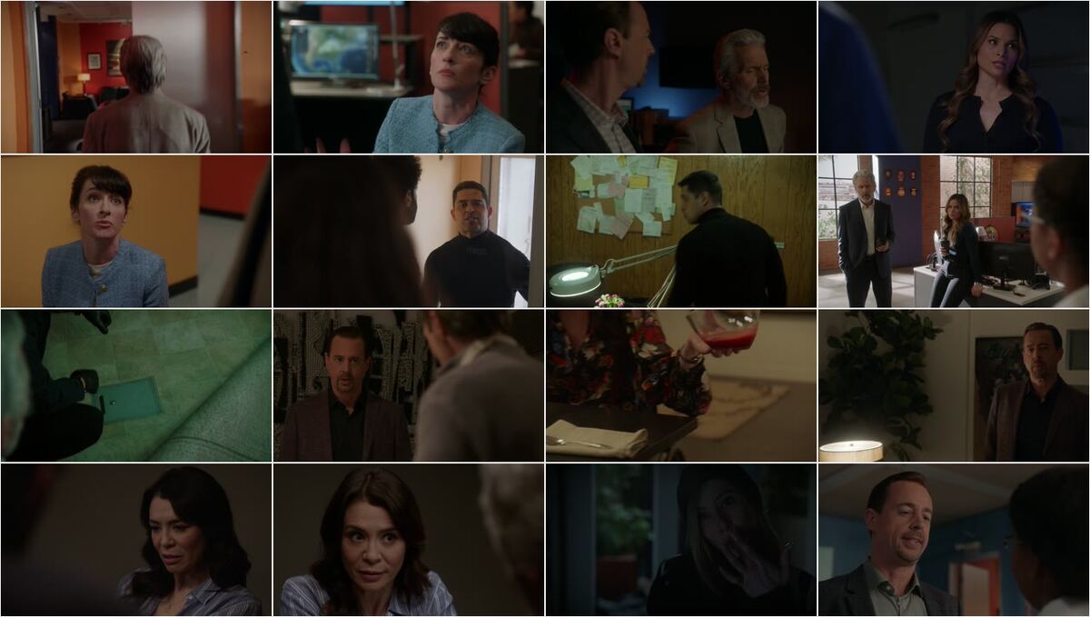 NCIS S22E17 Killer Instinct 720p AMZN WEB-DL DDP5 1 H 264-NTb