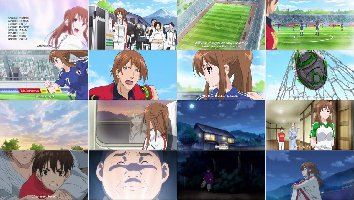 ARN09EKOHISAI