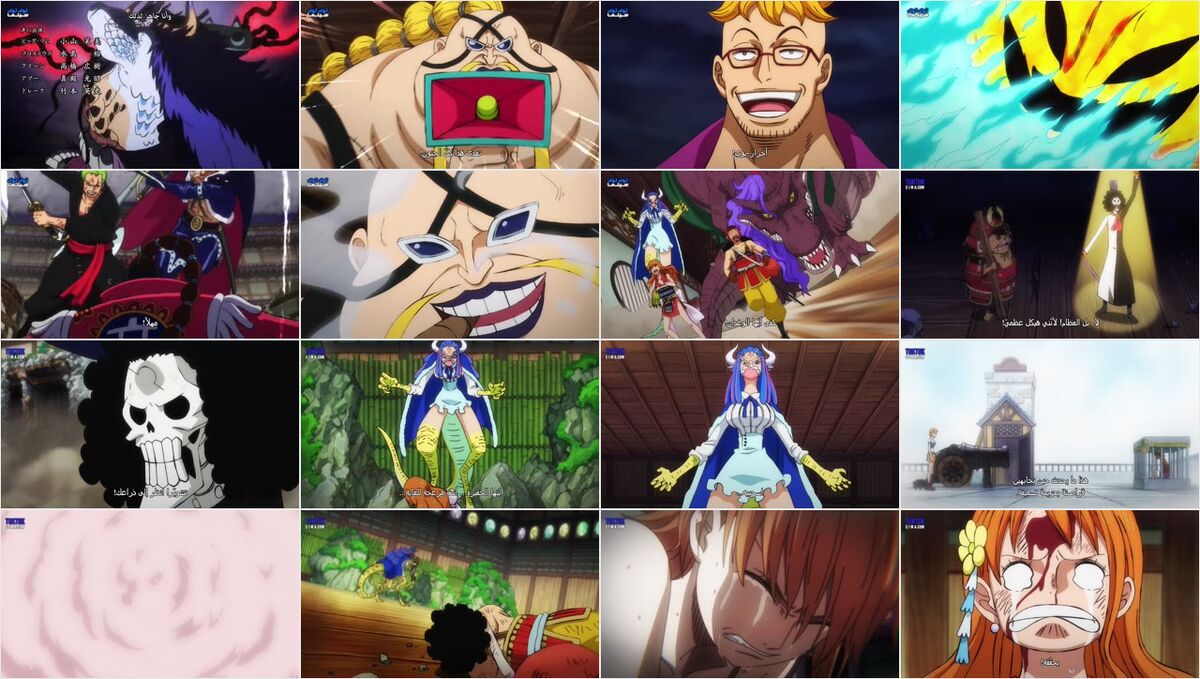 One Piece S21E1008