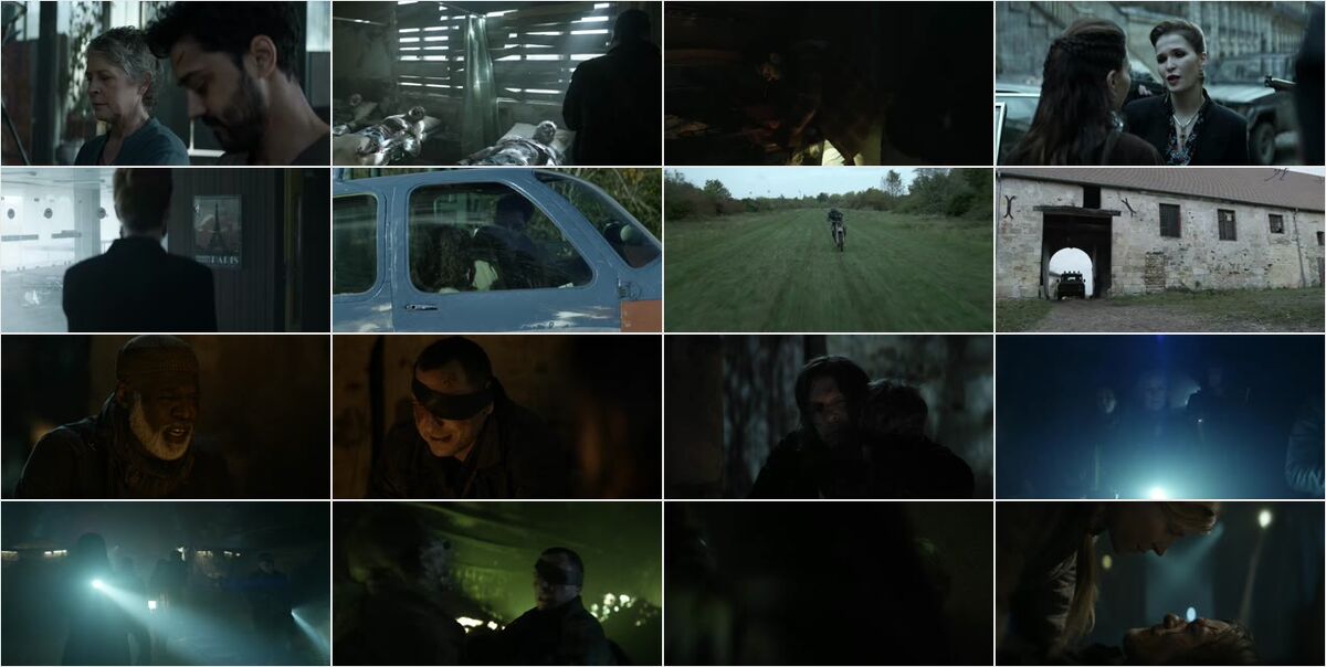 Daryl Dixon 2x6 PlayflixHD