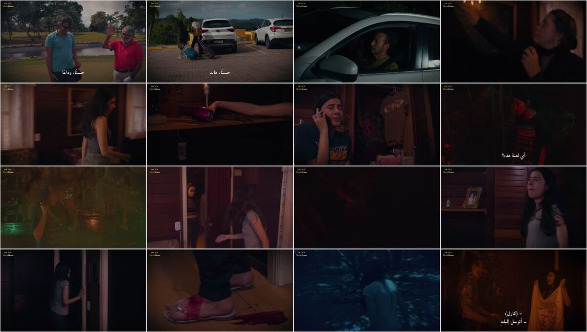 Shadows Side 2024 1080p MovizHome