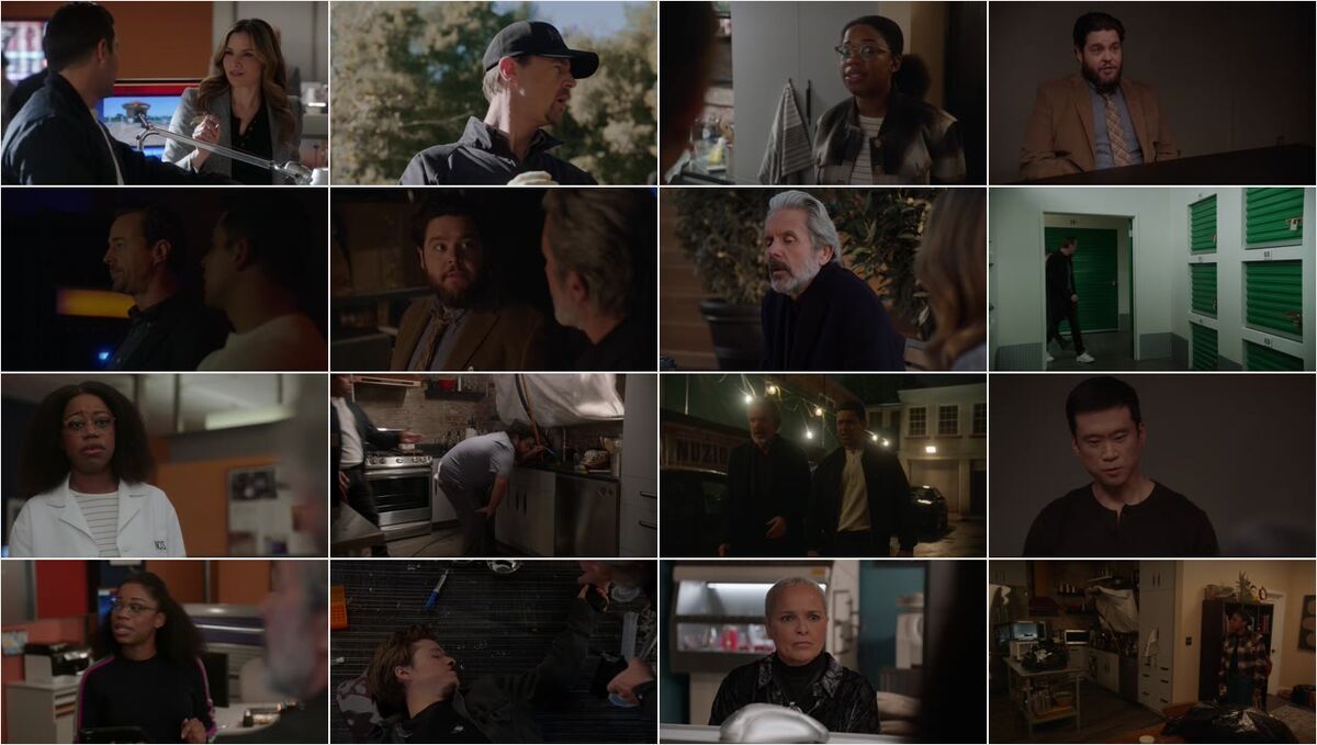 Agenci NCIS S22E12 PL 720