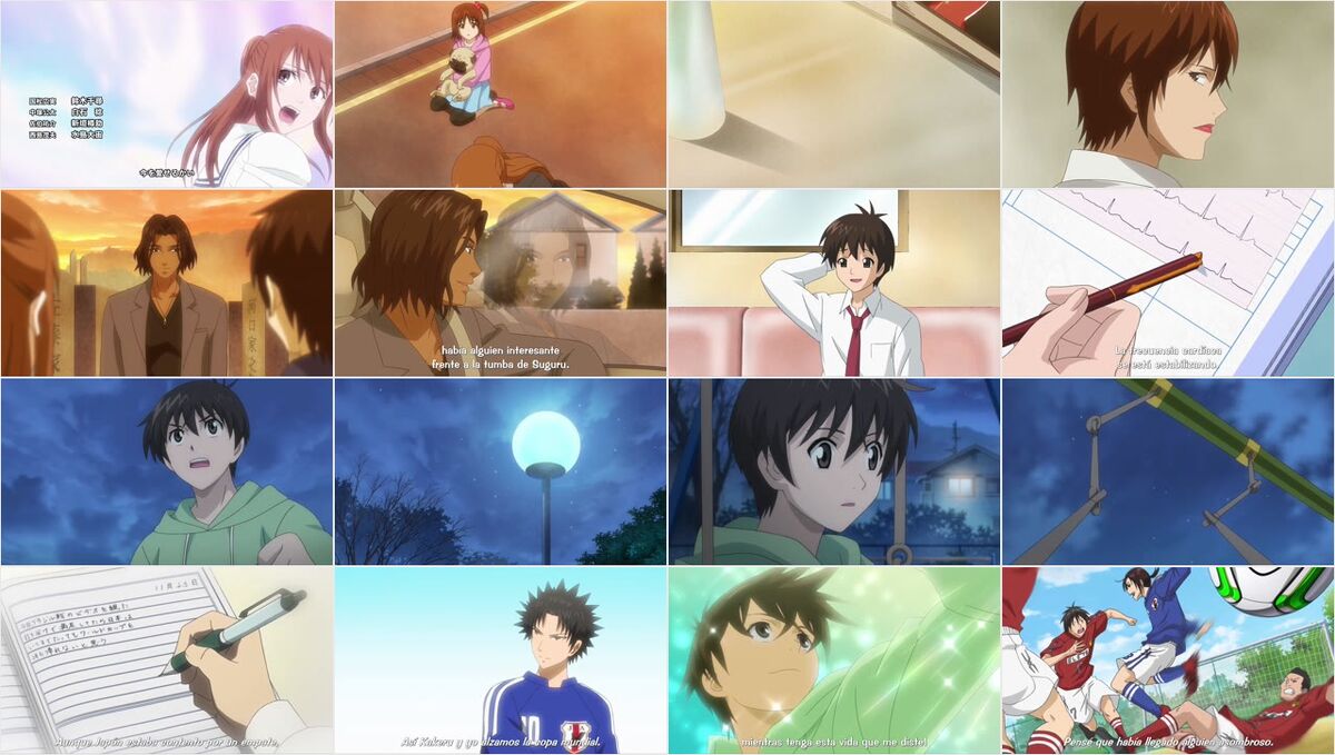 ARN04EKOHISAI