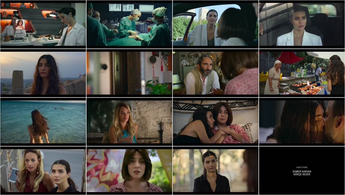 Le Chemin de l'olivier - Saison 1 Épisode 1
