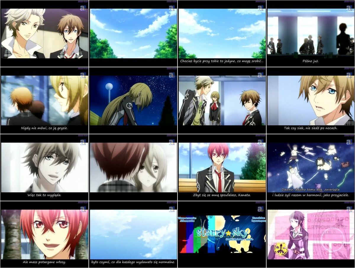 Starry Sky - 06