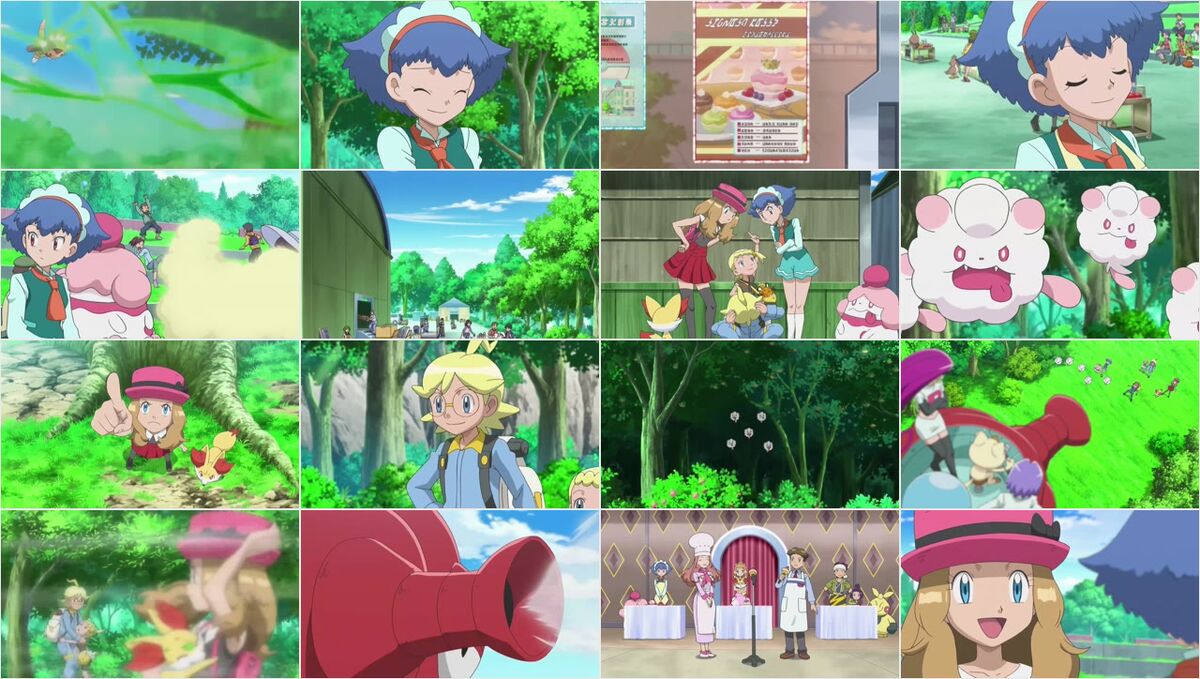 ポケットモンスター - S17E26 - ¡Buscando una Flor Hada!