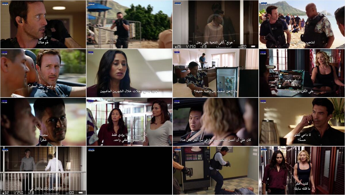 Hawaii Five-0 S10E12 CiNEMATY [source]