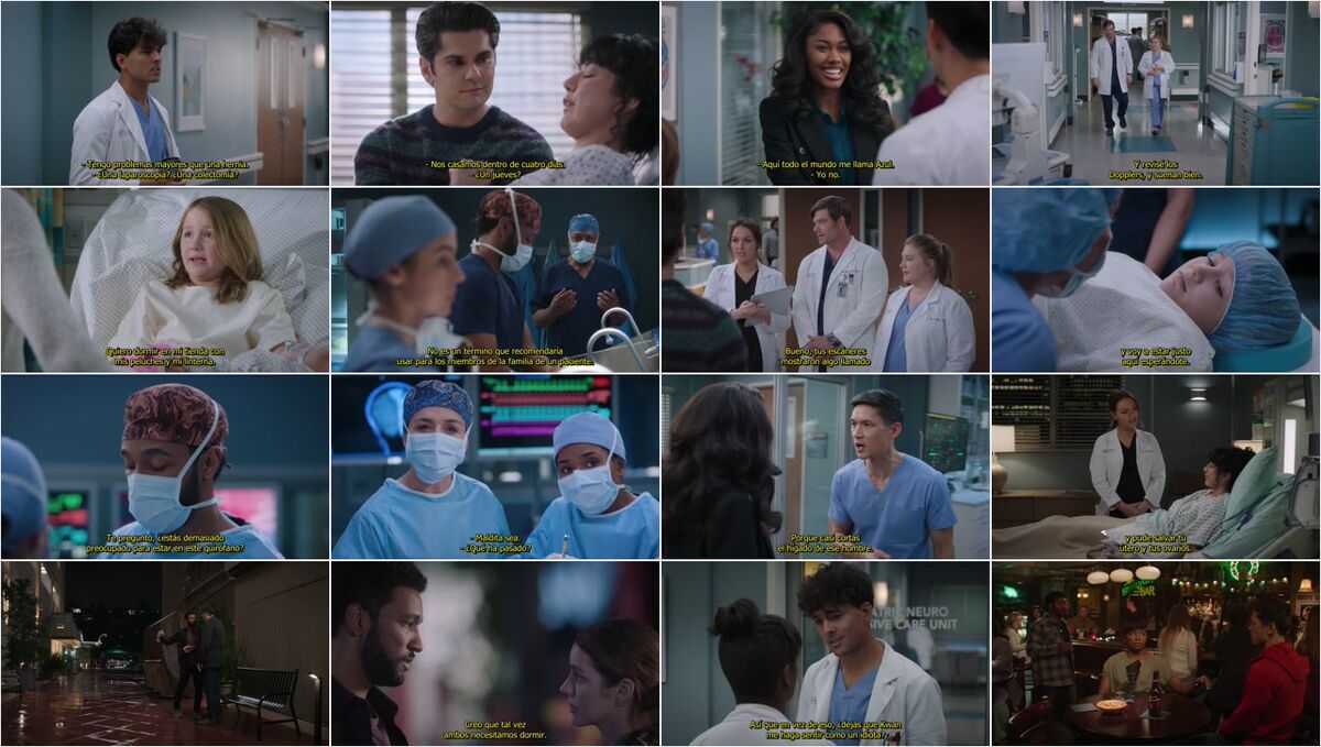 Greys Anatomy S21E16 Papa Was a Rollin Stone 1080p VOSE
