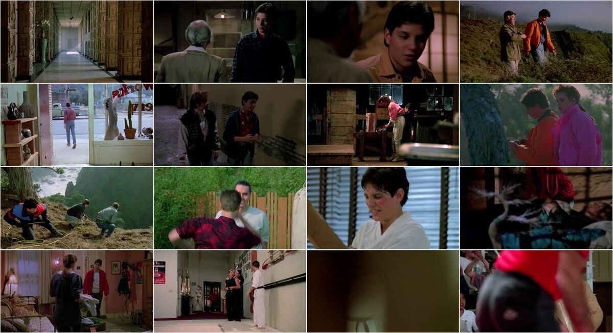 Karate Kid 3 1989 1080