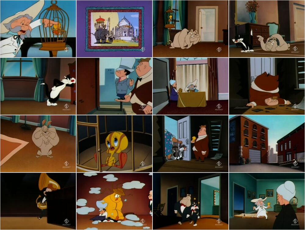 I misteri di Silvestro e Titti - 1x01 - Il gatto che sapeva trop